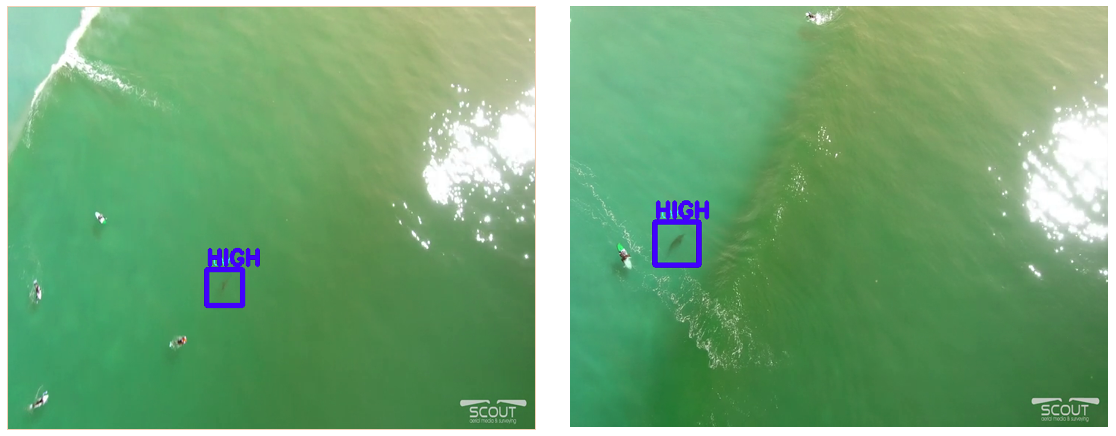 Machine Learning for detecting sharks - Scout Aerial Australia