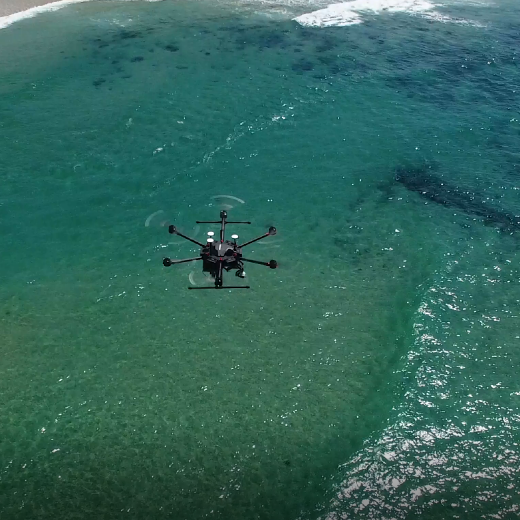 Real-Time Automated Shark Detection System - Scout Aerial Australia